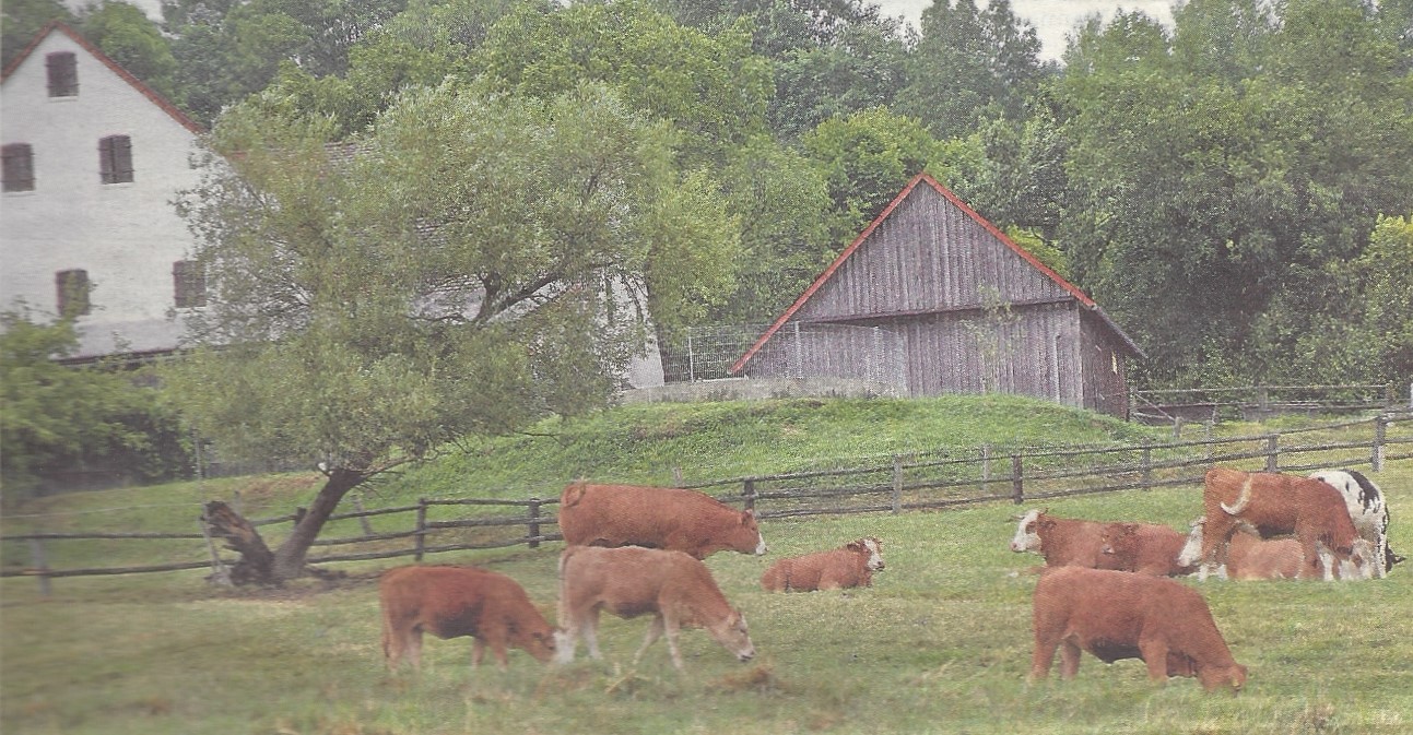 ÖDP Nürnberger Land: Unsere Verantwortung für Brasilien